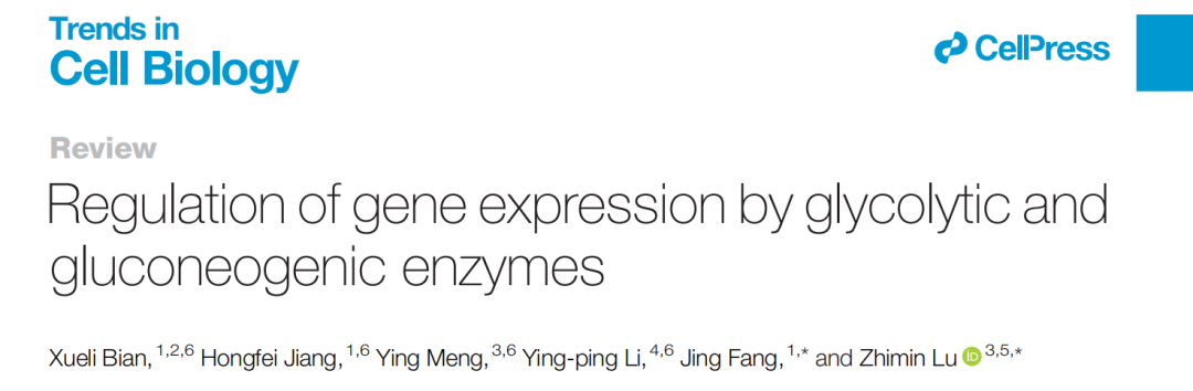 Trends Cell Biol | 吕志民团队全面总结糖代谢酶对基因表达的调控